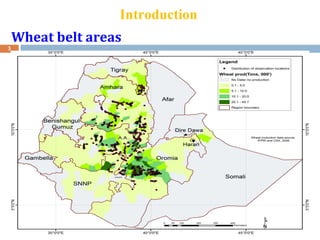 Variablity of stripe rust tigray ethiopia by teklay abebe | PPT