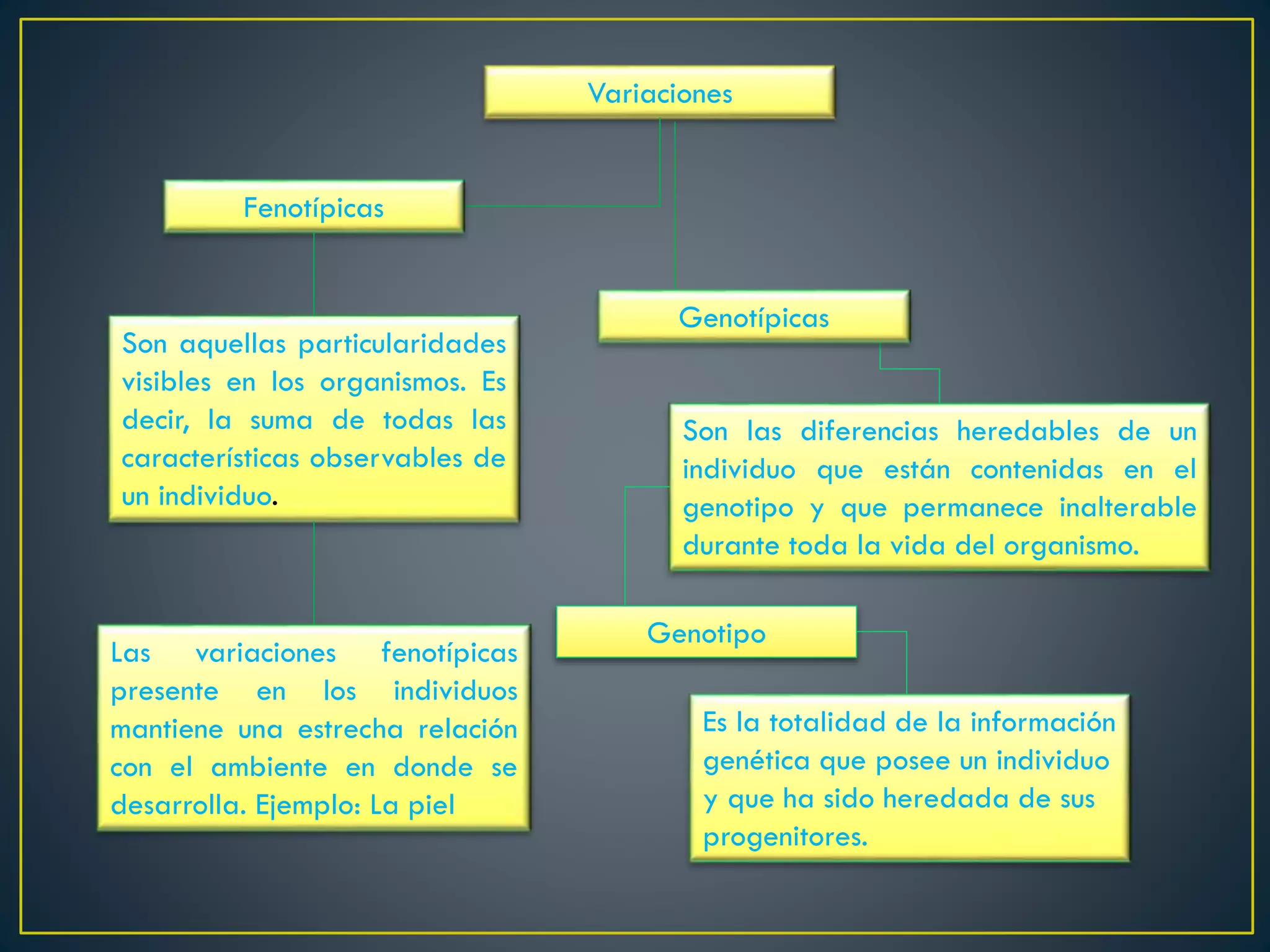 Variaciones geneticas | PPTX | Genetics | Science