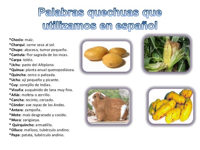 10 Ejemplos De Dialectos De La Sierra Ecuatoriana Porn Sex Picture