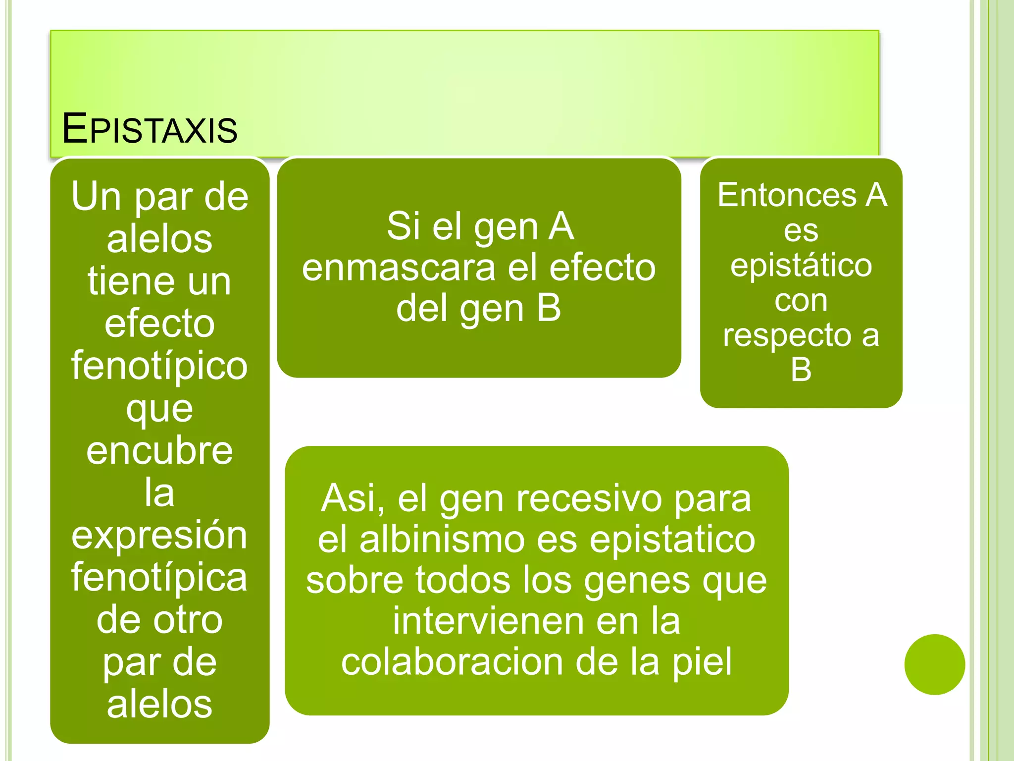 Variaciones Genéticas Ppt