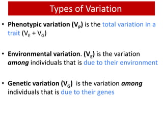 Variance and GE Interactions | PPTX