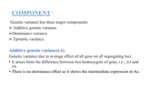 Variancbbbbbbbbe and Covariance (3).pptx