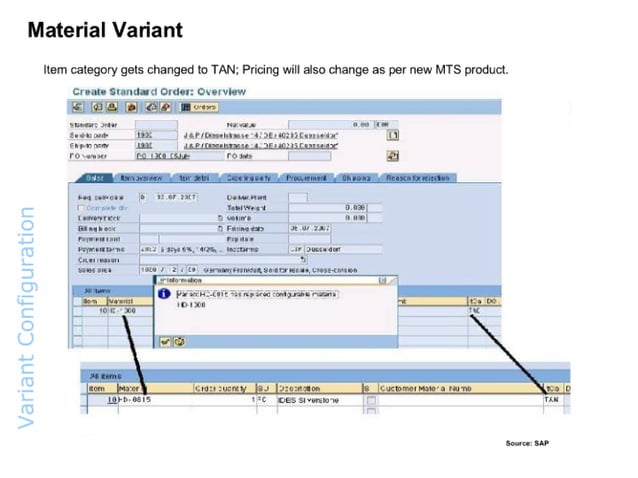 Variant Configuration Overview | PDF | Computer Software and Applications | Computing