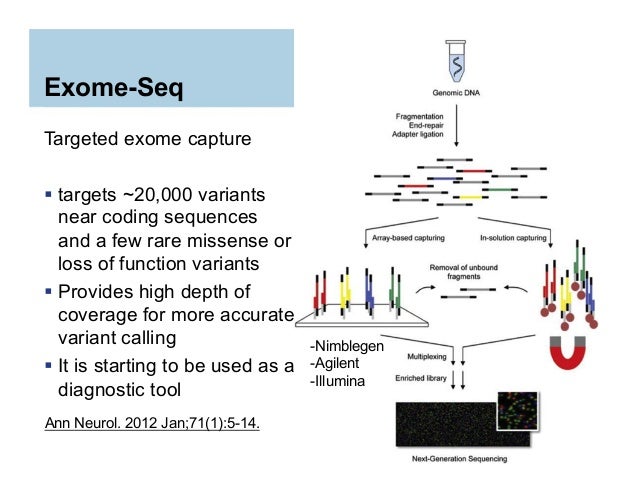 Variant Analysis And Whole Exome Sequencing