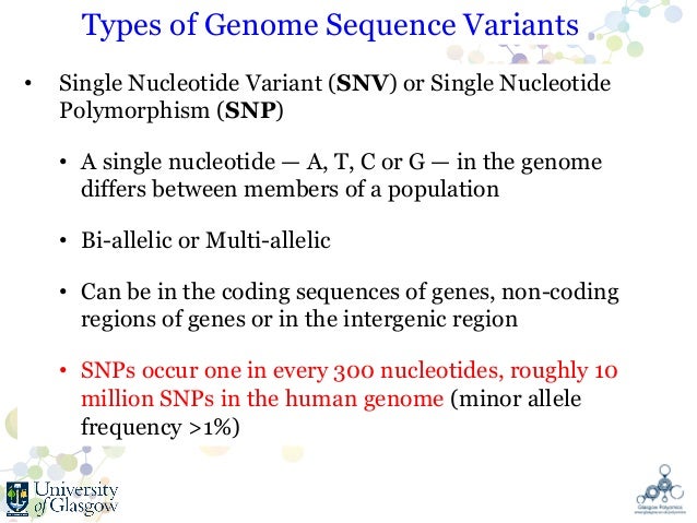 Variant Snp Calling An Introduction With A Worked Example Using