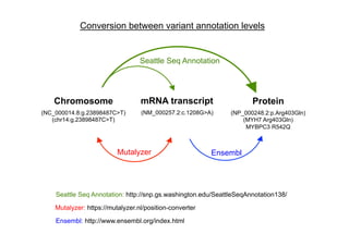 Variant Calling Workshop: Bioinformatics Tools | PPT