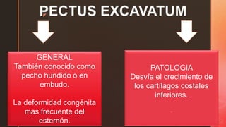 VARIANTES ANATOMICAS DEL TORAX | PPTX
