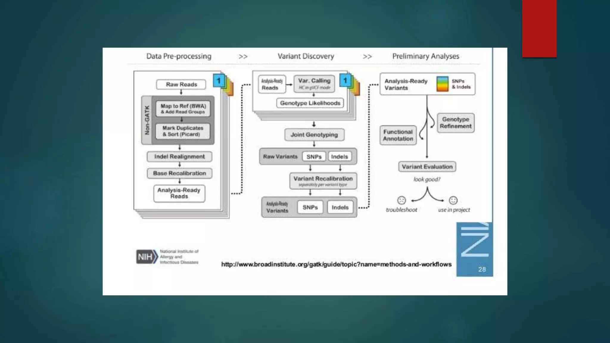 Variants calling and SNP prioritization in mouse RNA.pptx