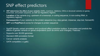 Variants calling and SNP prioritization in mouse RNA.pptx