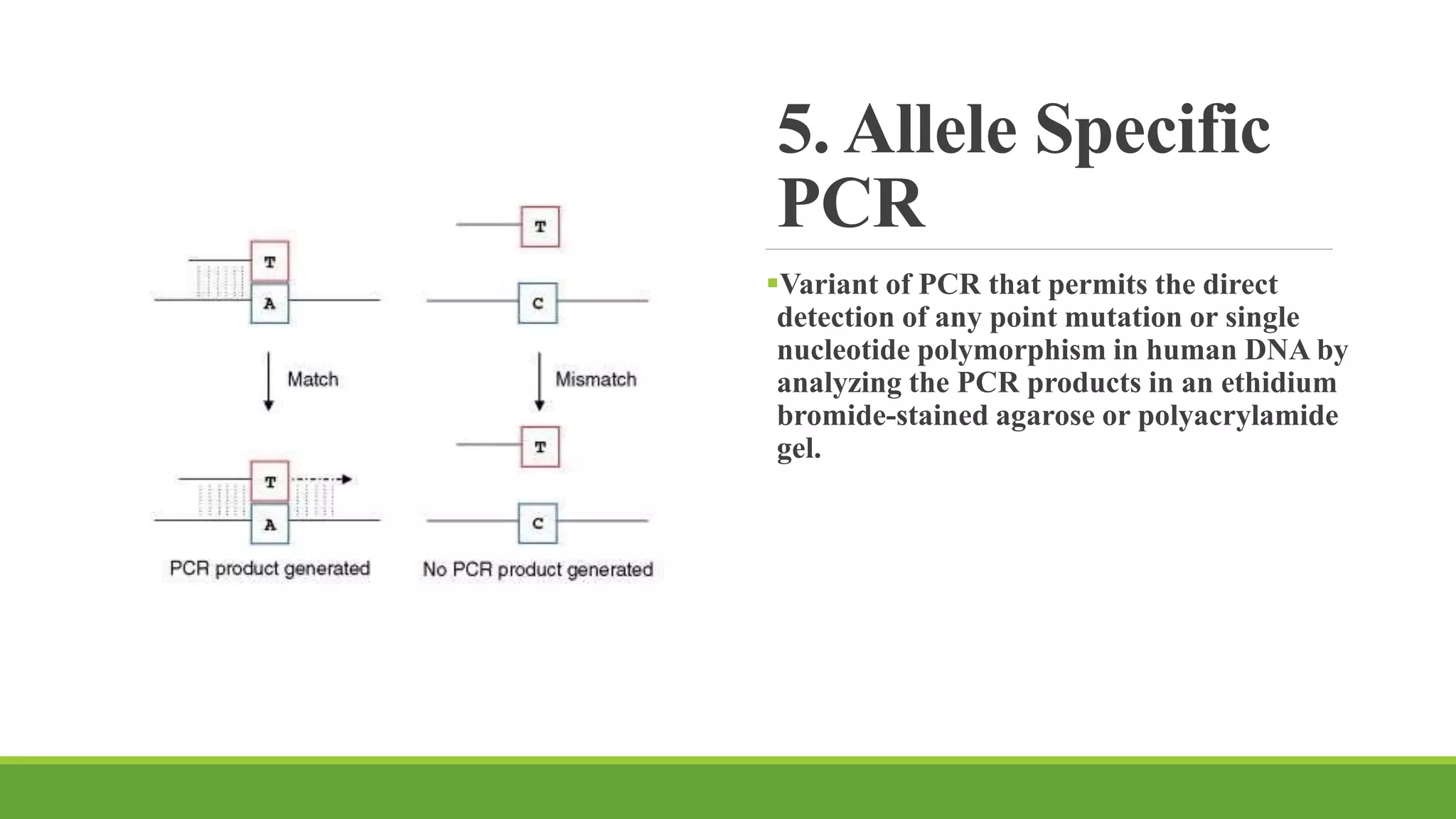 Variants of PCR | PPTX