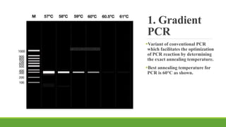 Variants of PCR | PPTX