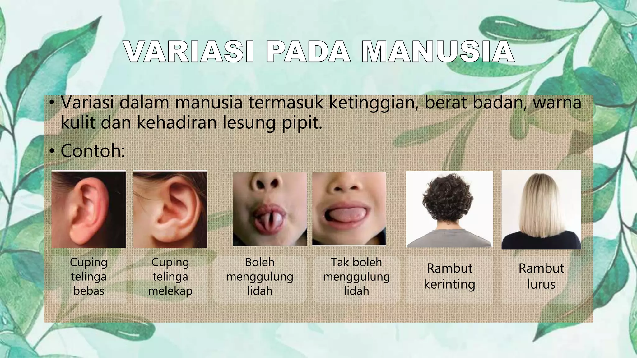 Biologi Tingkatan 5: Variasi Selanjar dan Tak Selanjar | PPTX