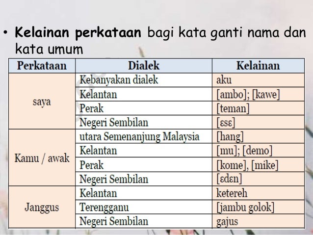 Variasi bahasa