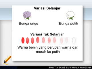 Variasi di Kalangan Hidupan | PPTX