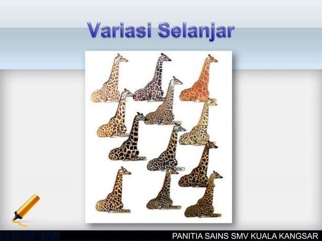 Variasi di Kalangan Hidupan | PPTX