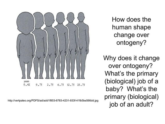 Variation among living organisms. Continuous and discontinuous ...