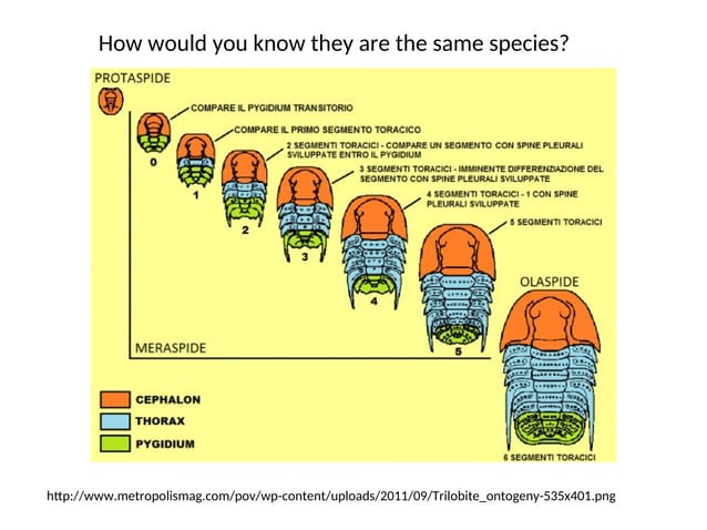Variation among living organisms. Continuous and discontinuous ...