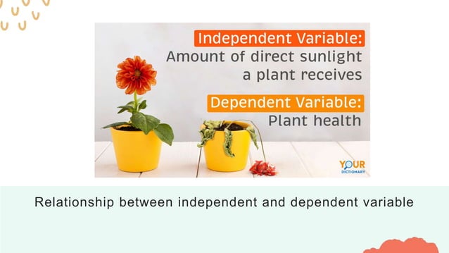 Different Types of Variations in Mathematics | PPTX | Physics | Science