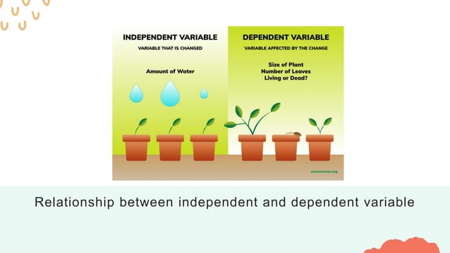Different Types of Variations in Mathematics | PPTX | Physics | Science