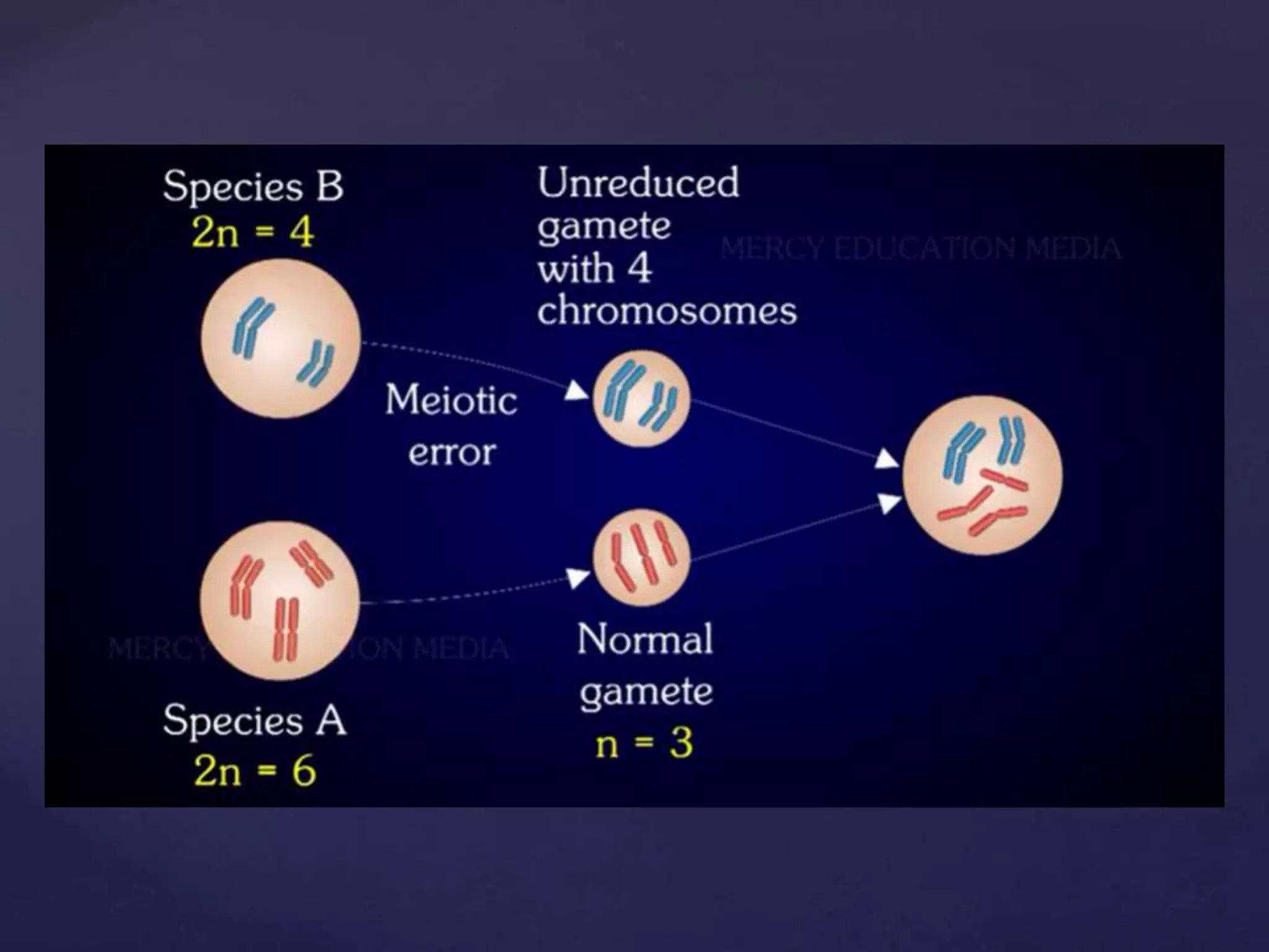 Variation in-chromosome-number | PPTX