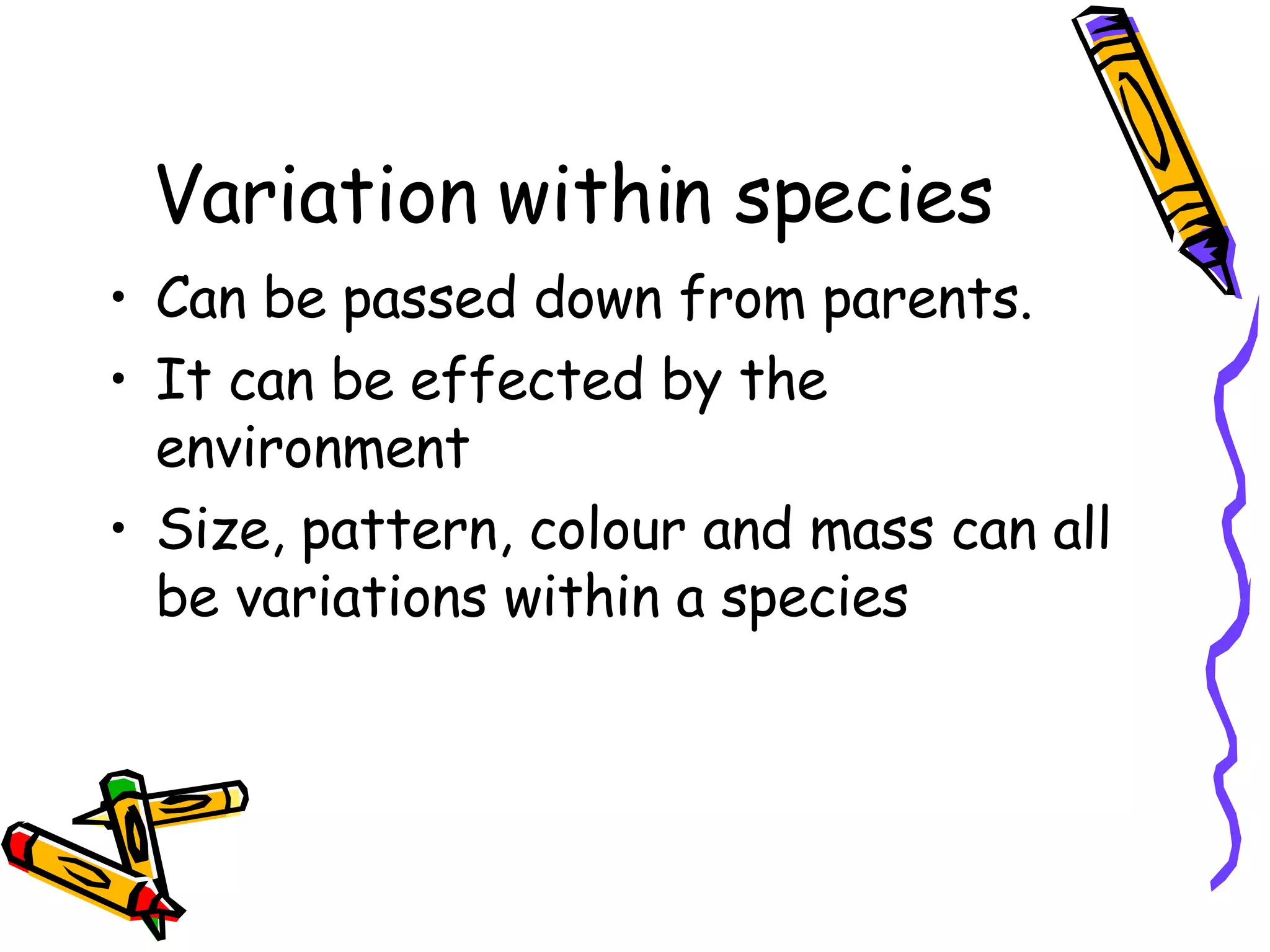 Variation Within Species | PPT