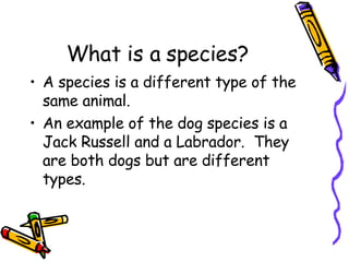 Variation Within Species | PPT