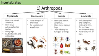 variation and classification.pptxpptpptp | PPTX