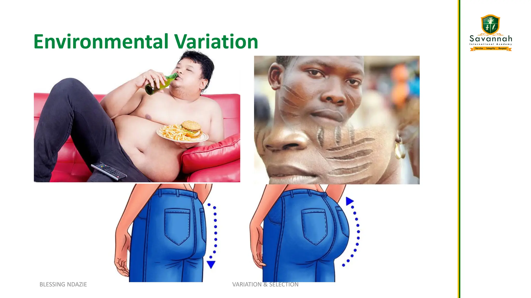 Variation And Natural Selection Igcse Biology Pdf