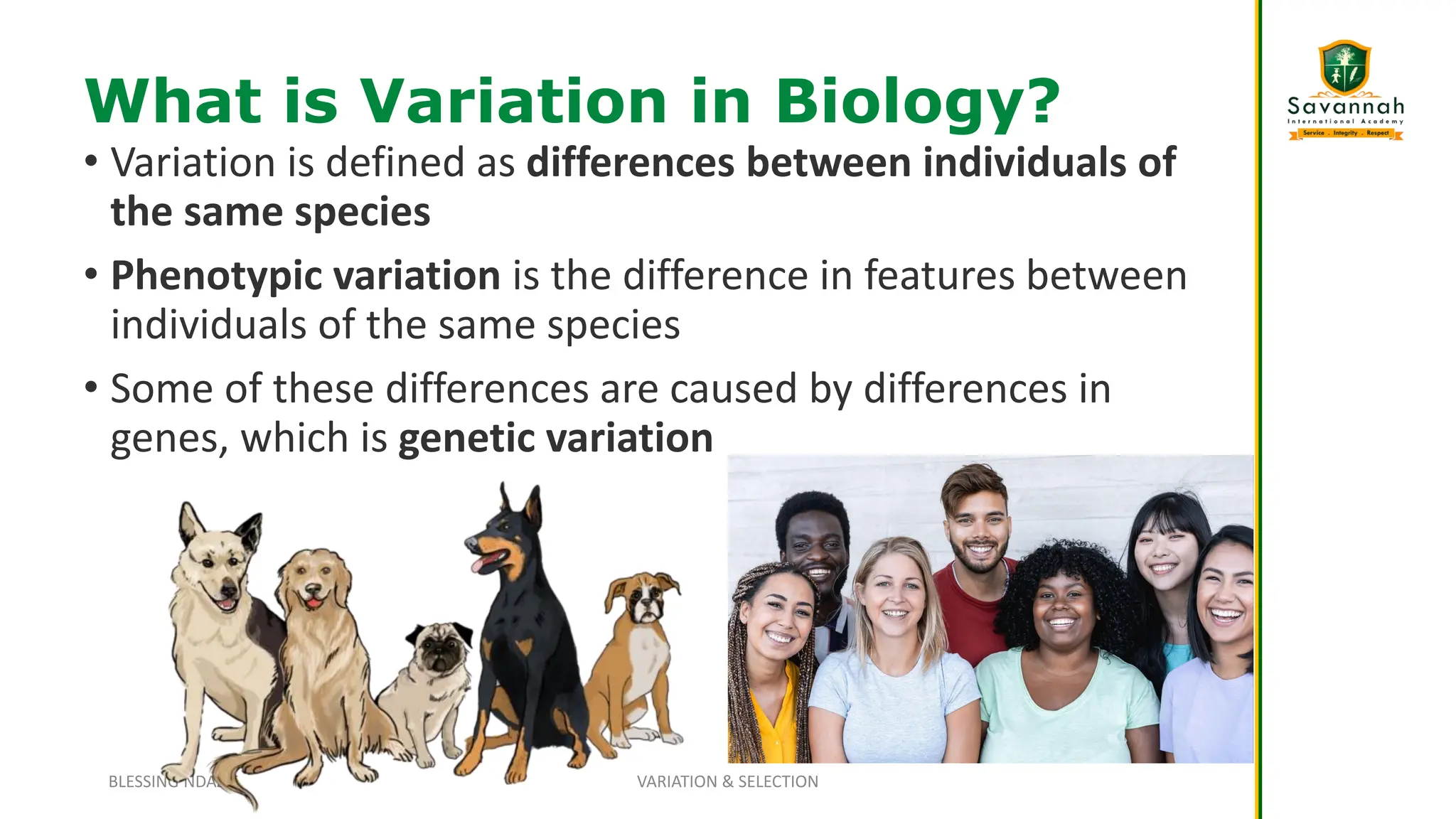 Variation And Natural Selection Igcse Biology Pdf