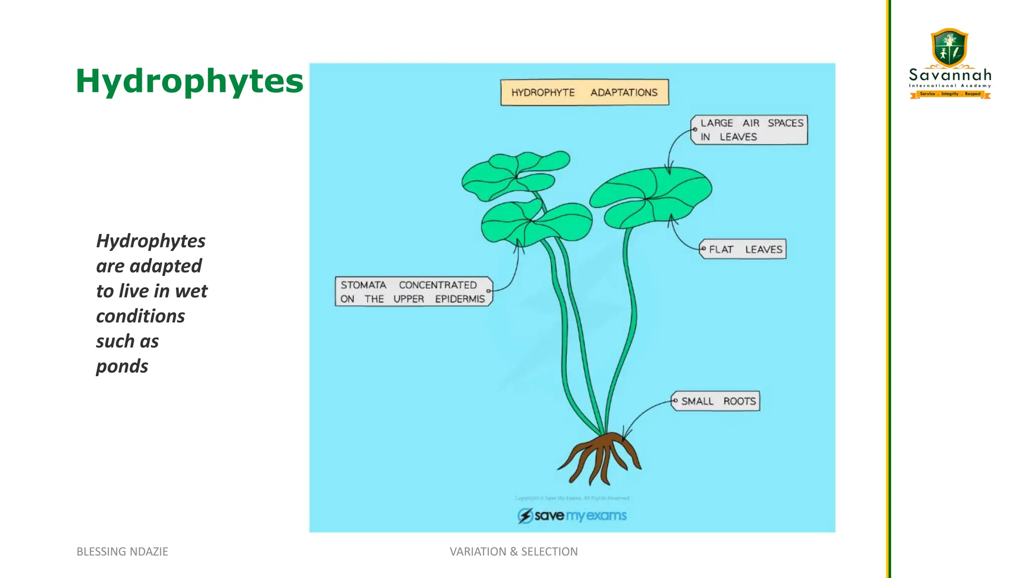 Variation And Natural Selection Igcse Biology Pdf