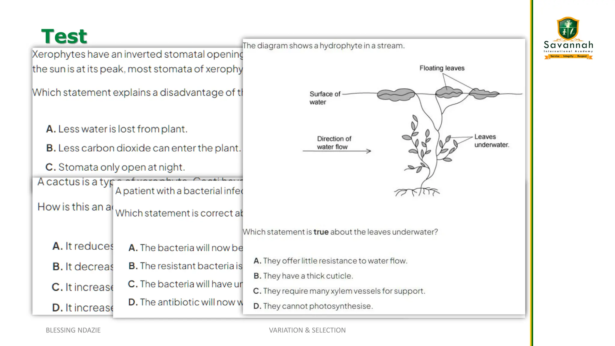 Variation and Natural Selection | IGCSE Biology | PDF