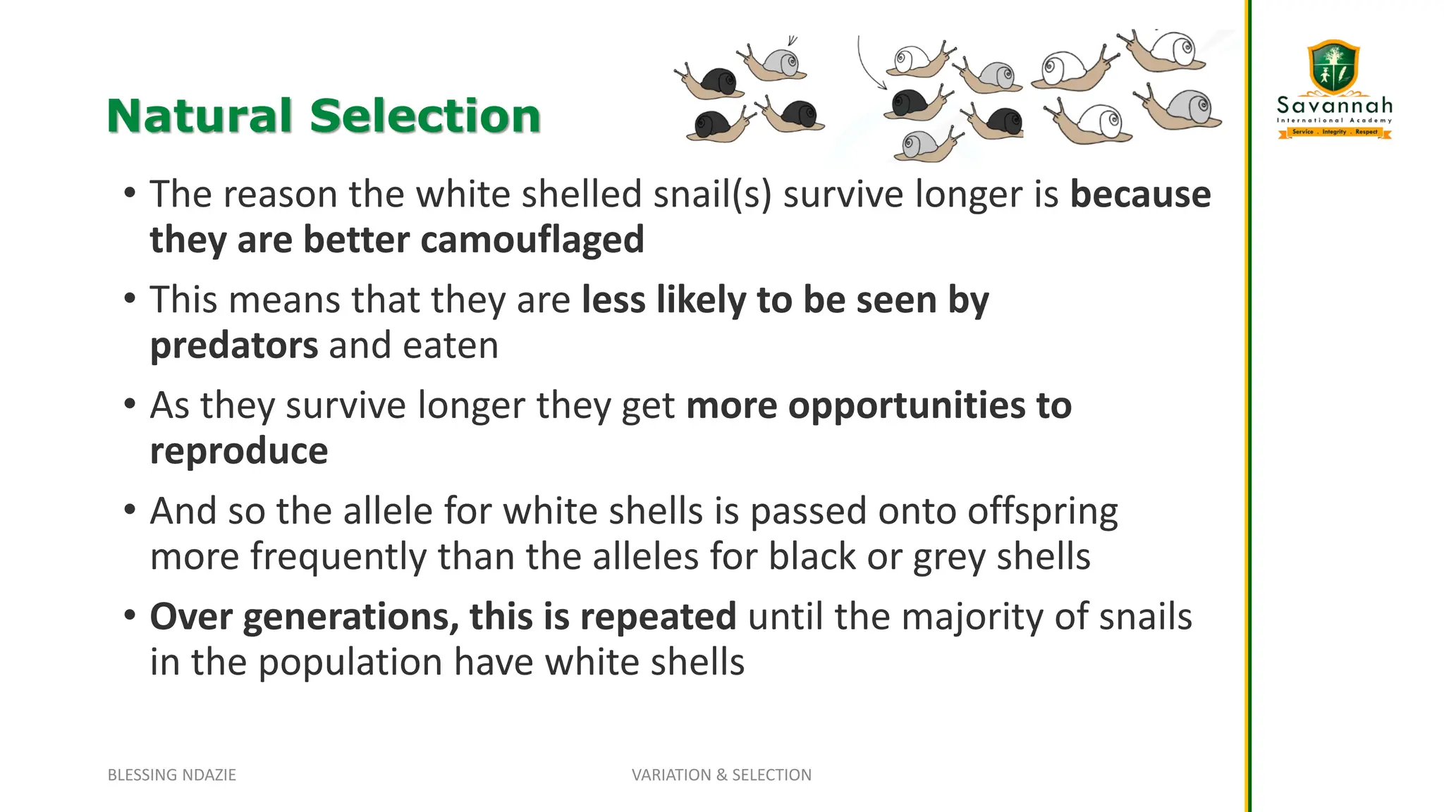 Variation and Natural Selection | IGCSE Biology | PDF
