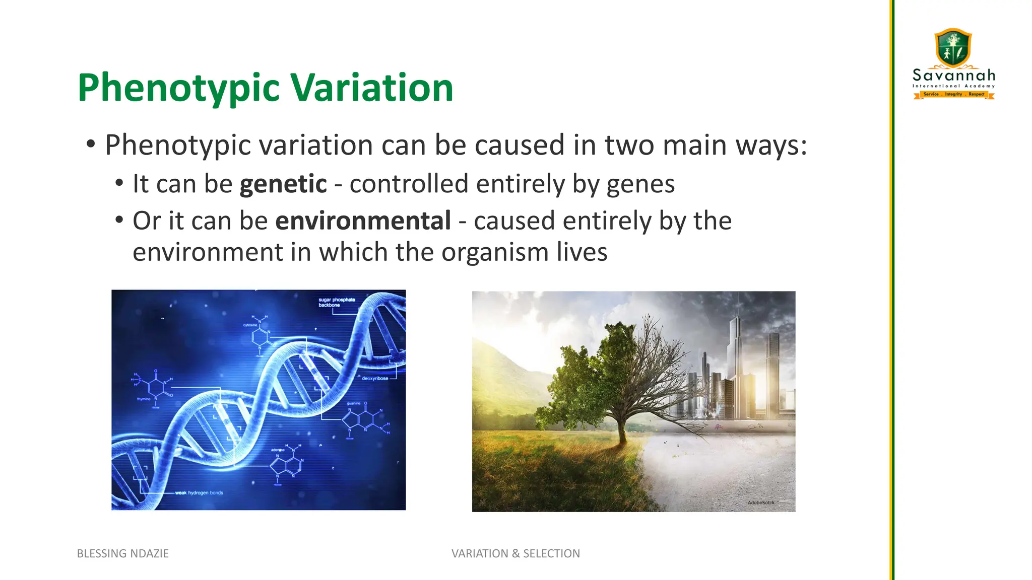 Variation and Natural Selection | IGCSE Biology | PDF