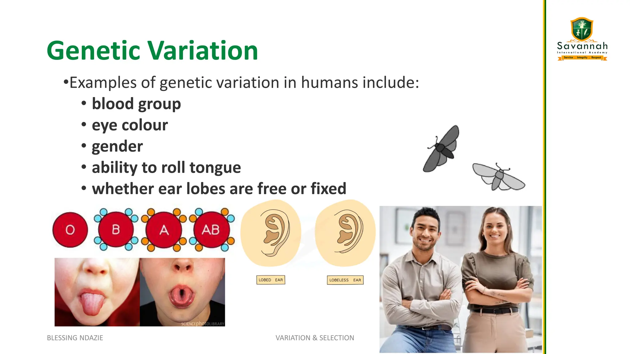 Variation And Natural Selection Igcse Biology Pdf