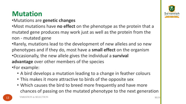Variation and Natural Selection | IGCSE Biology | PDF