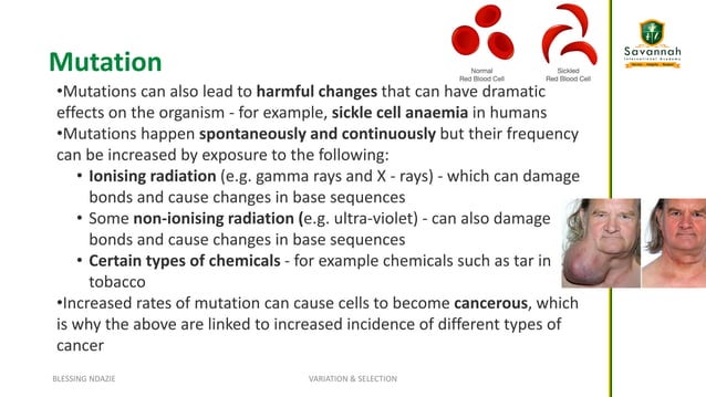 Variation And Natural Selection Igcse Biology Pdf
