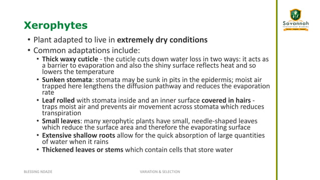 Variation And Natural Selection Igcse Biology Pdf