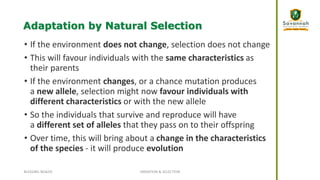 Variation and Natural Selection | IGCSE Biology | PDF