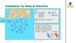 Variation and Natural Selection | IGCSE Biology | PDF