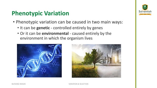 Variation and Natural Selection | IGCSE Biology | PDF