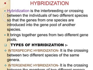Variation (Genetics) | PPTX