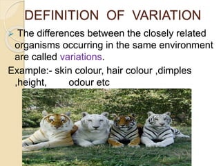 Variation (Genetics) | PPTX