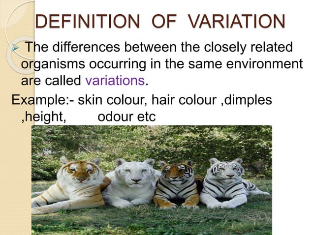 Variation (Genetics) | PPTX