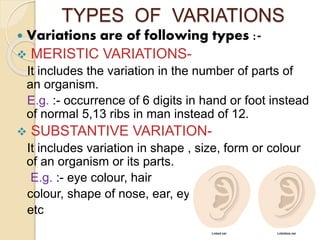 Variation (Genetics) | PPTX