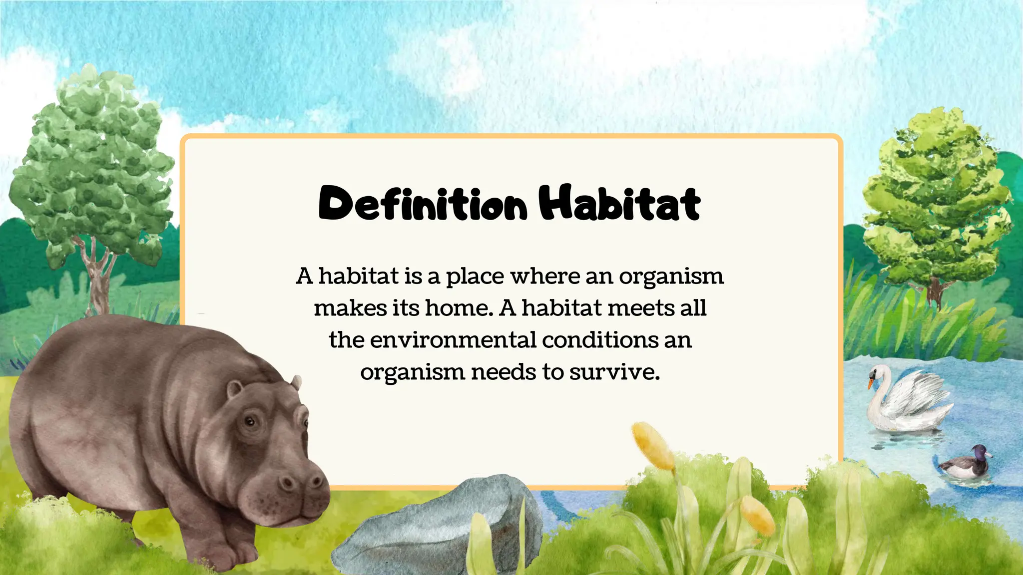 Variation, Chart and Graph.pptx