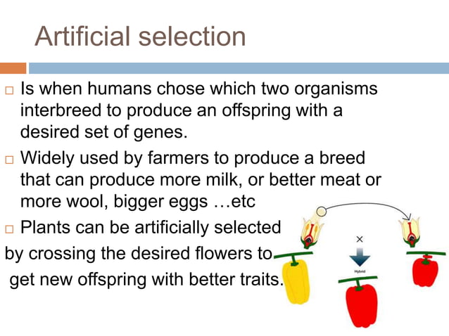 Variation & evolution | PPTX