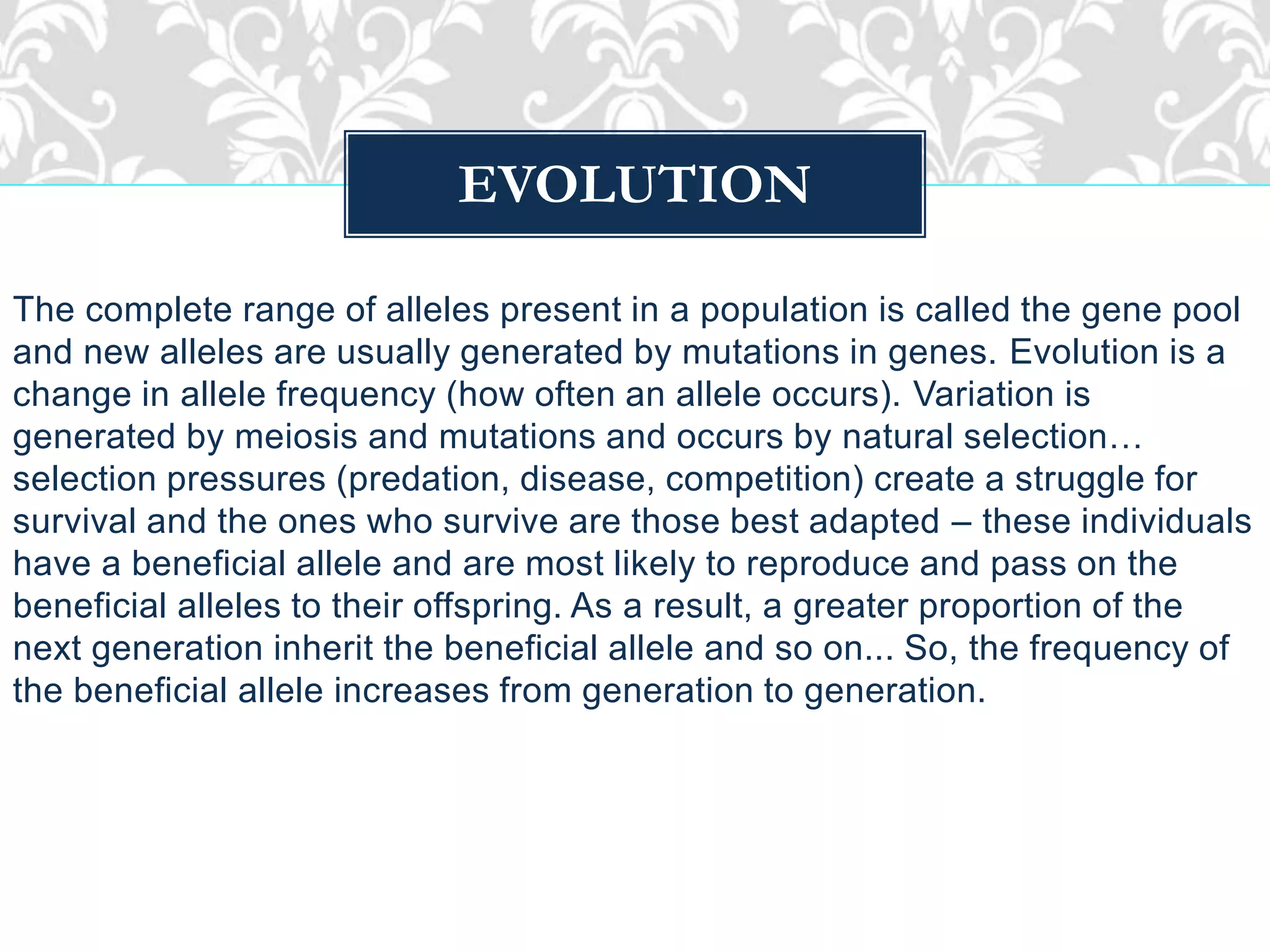 Variation & Evolution | PPTX