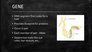 VARIATION & GENETICS.pptx