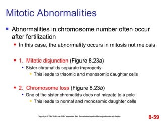 Variation in chromosome structure and number chapter 8 | PPT