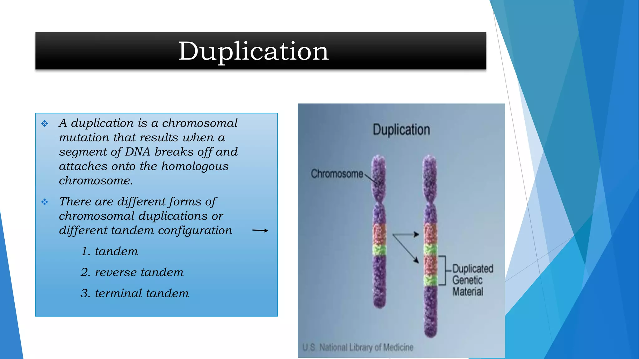 Variation of chromosomes | PPTX